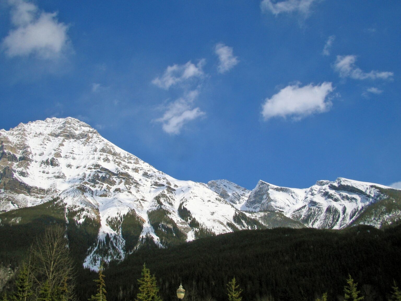 ベイル スキーリゾート完全ガイド｜伝説のバックボウルとシャンパンパウダーを巡る旅 - SNOWSEARCH スノーサーチ