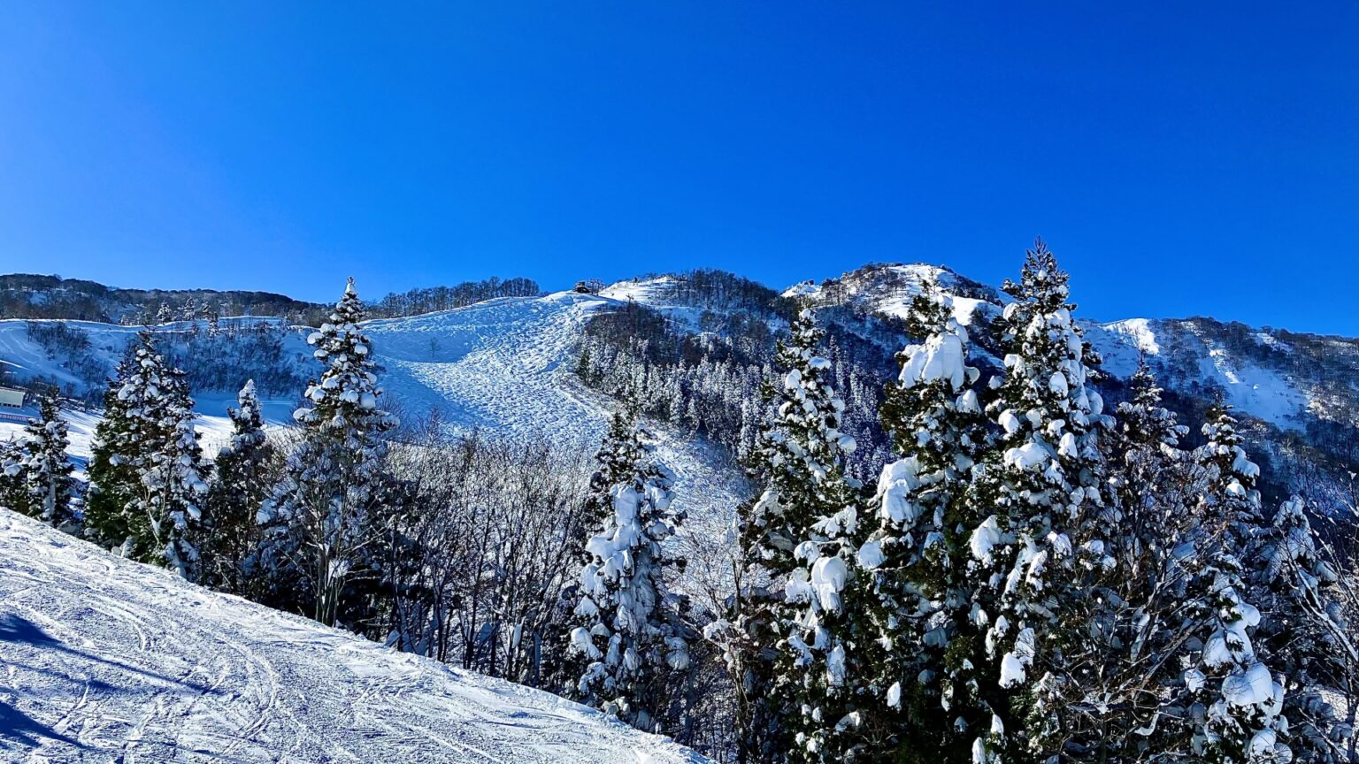 ホワイトバレースキー場 完全ガイド - SNOWSEARCH スノーサーチ